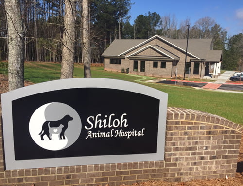 Hospital Tour | Shiloh Animal Hospital